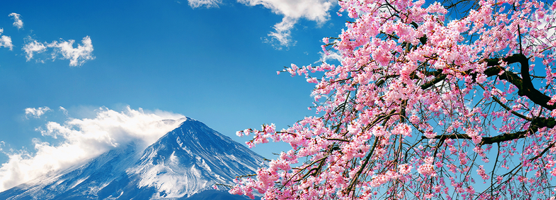 April Partner Letter – Capps Ministries